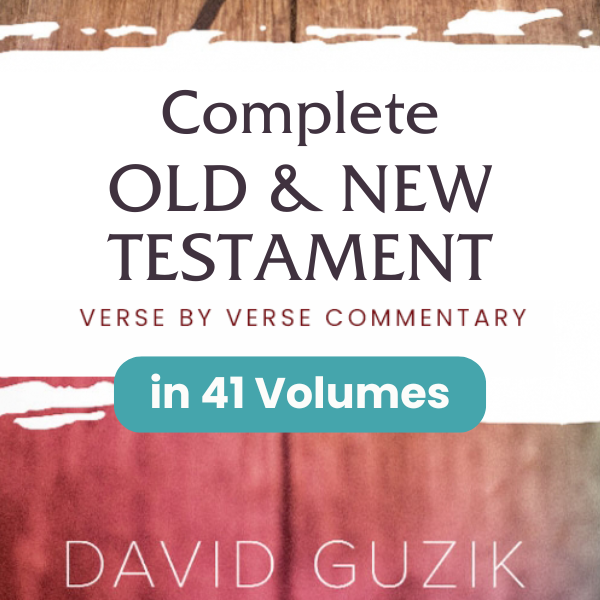 All Print Commentary Books by David Guzik – Enduring Word Online Store