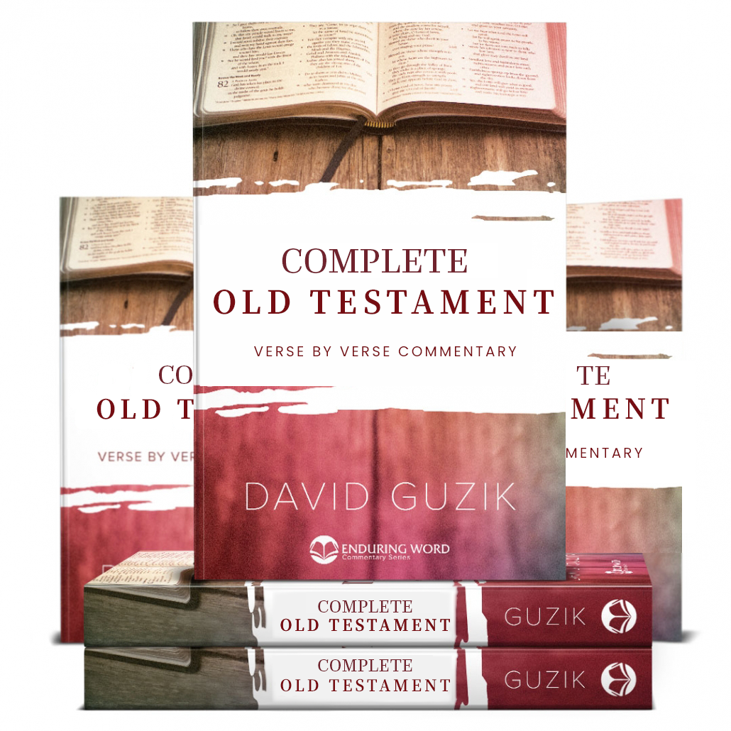 All Old Testament Commentary books – Enduring Word Online Store